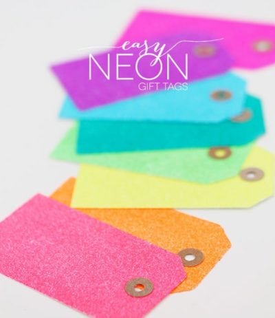 On Trend Neon Glitter Tags - Damask Love