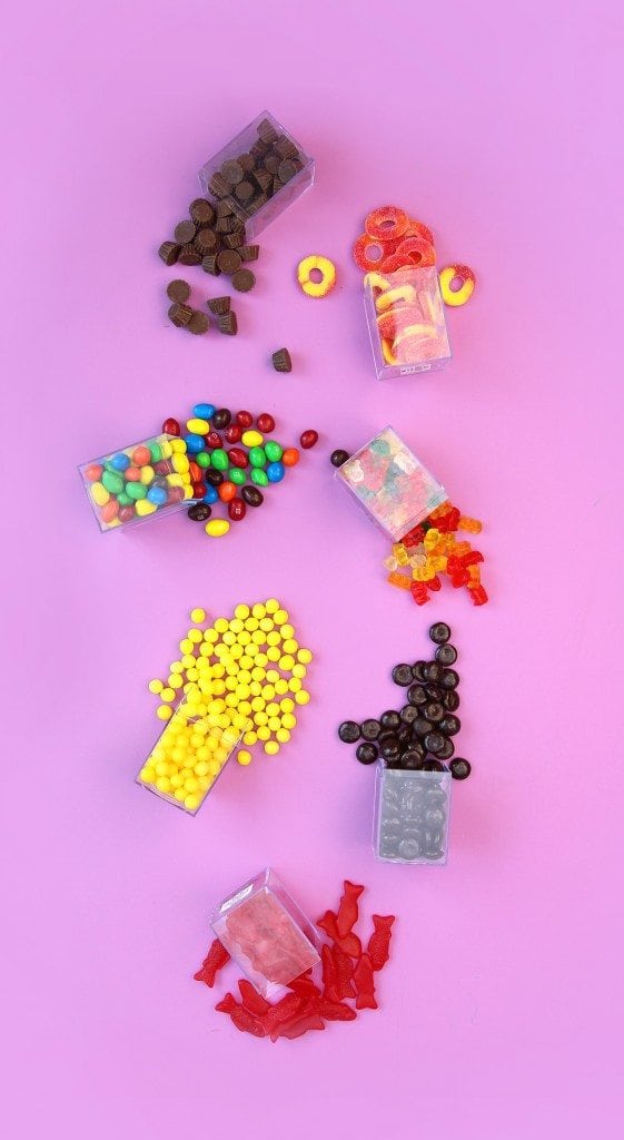 Giant Candy Bar in a Box - Damask Love