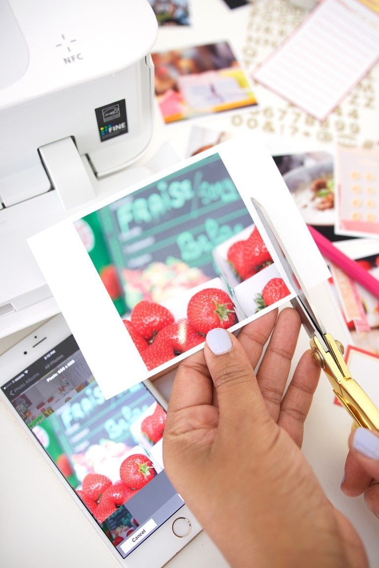 Easy DIY Photo Journal - Damask Love