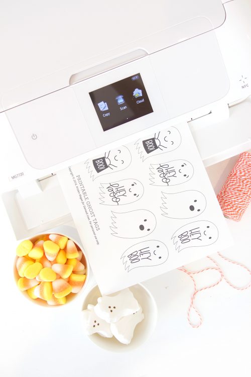 "Hey Boo" Halloween Tag Printables - Damask Love