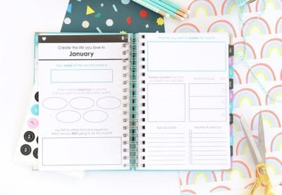 Ashley Shelly Planner Review - Damask Love