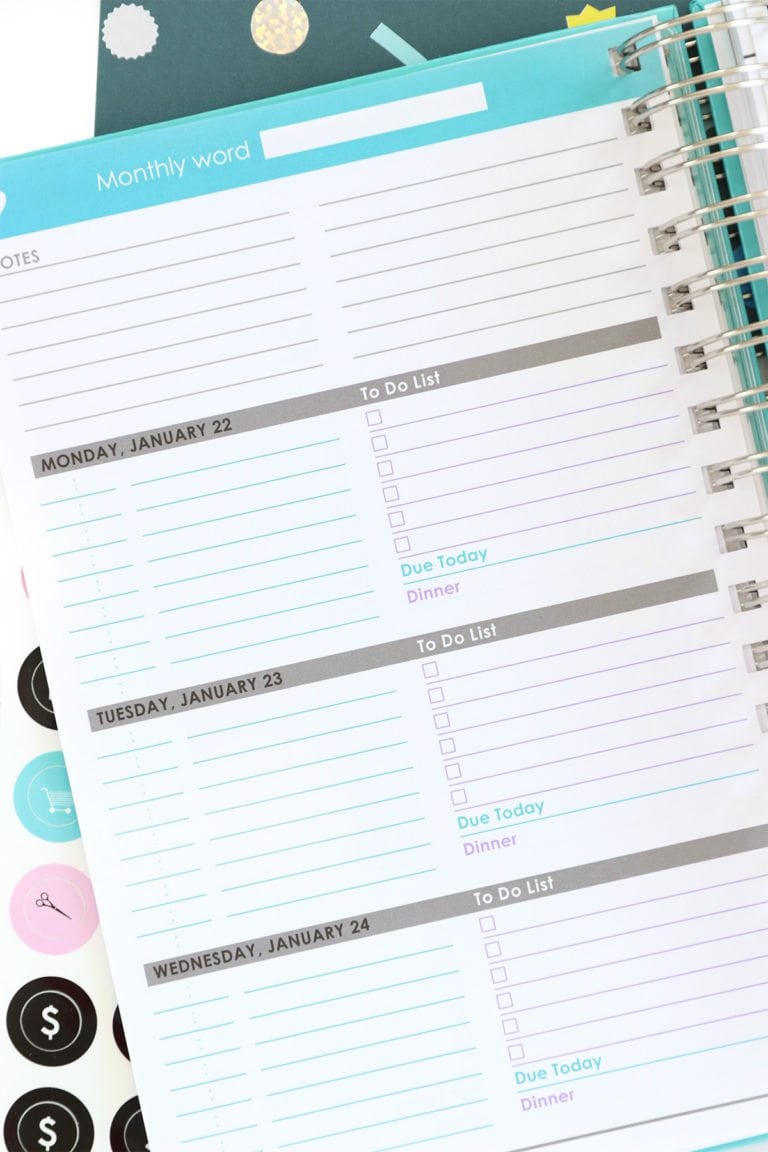 Ashley Shelly Planner Review - Damask Love